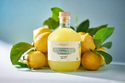Nos 10 Meilleurs Limoncello Menton pour 2026 [FR] | EchoduConsommateur.fr